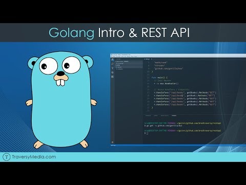 Development with Golang Resources – DevX