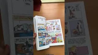 Calvin and Hobbes - Lazy Sunday Book