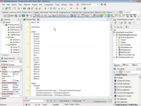 Delphi 2010 | MedeirosMaster