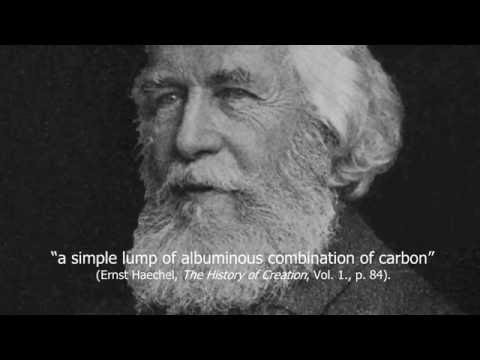 Darwinism’s Downfall: Evolution Debunked – Living in Anglo-America