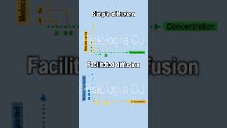 Simple diffusion vs facilitated diffusion | Facilitated diffusion vs simple diffusion | Graph