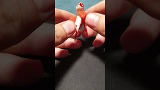 Hookfang Monstrous Nightmare mini how to train Your Dragon #klubdragonnovisad #shorts #nightfury