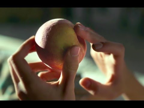 Everyone is still hot and bothered by the ‘CMBYN’ peach scene, says science - SCOUT