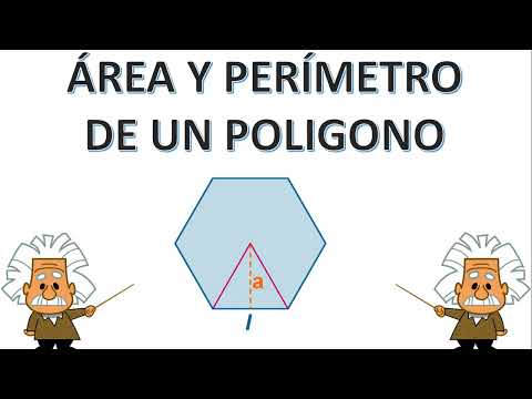 ÁREA Y PERÍMETRO DE UN POLIGONO | matemagia y algo mas