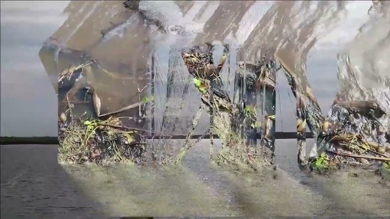 Agua curada un ejercicio ficcional de acupuntura sonora - Tsonami Ediciones