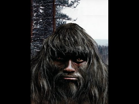 Hairy Humanoids reports from Belarus – Sasquatch Close Encounter Network for Interspecies ...