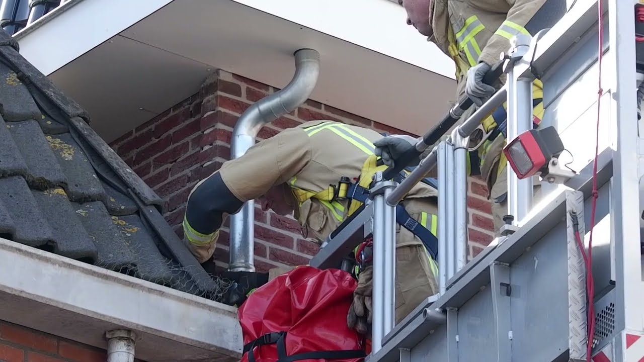 Brandweer bevrijdt duif op dak woning Coevorden(Video)