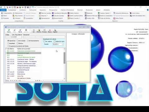 Flujo de efectivo – Sistema integrado SOFIA