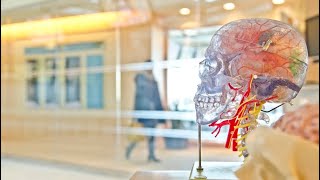 Neurovascular and Neurotrauma ICU Experience
