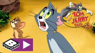 Tom & Jerry | Dinosaur Island | Boomerang UK