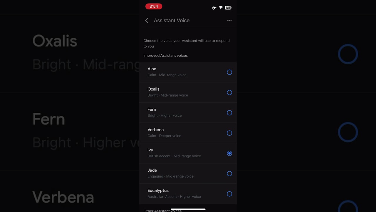 Take a listen to the new Gemini-powered Google Assistant voices Take a listen to the new Gemini-powered Google Assistant voices