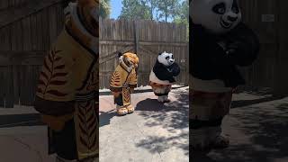 ????I saw Kung Fu Panda and Tigress in REAL LIFE #shorts