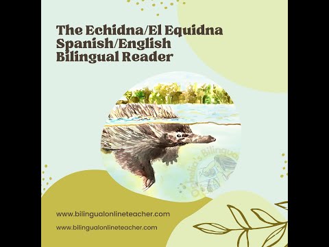 Activities – Bilingual Short Stories