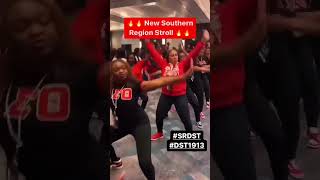 Members of Delta Sigma Theta Sorority Incorporated Southern Region new Stroll