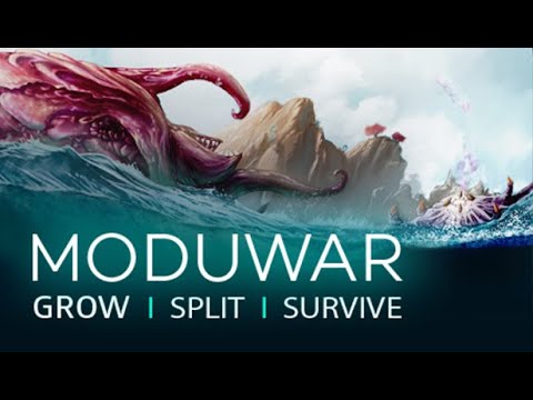New release year, new video! :-) – Moduwar