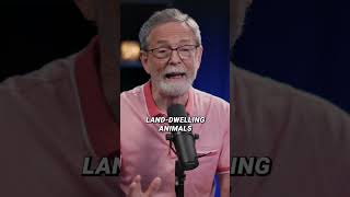 Don’t dinosaurs pre-date the biblical age of the Earth?