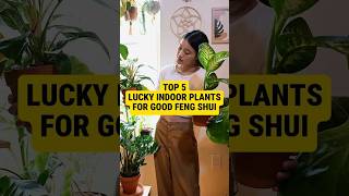 Lucky Indoor Plants for Good Feng Shui to Attract Wealth, Prosperity, and Positive Energy ????????