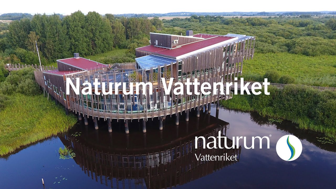 Naturum Vattenriket – Biosfärområde Kristianstads Vattenrike