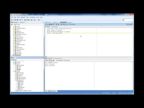 Oracle Database 11g Controlling User Access and Managing Schema Objects: how to scrutinize and ...