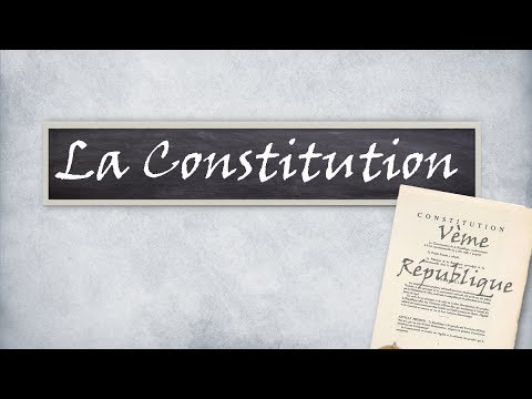 Qu’est ce que la Constitution ? 7″ Dataviz Voots – Vulgarisation Politique | DGEMC en Terminale L
