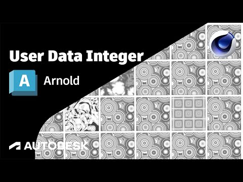 Arnold Tutorial: How to use the user_data_integer shader in C4DtoA