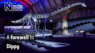 A farewell to Dippy the dinosaur | Natural History Museum