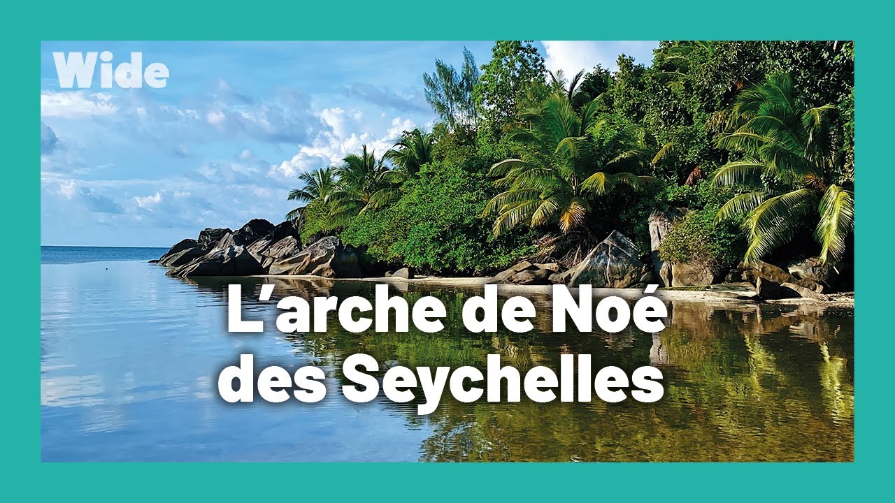 Documentaire | Seychelles : un paradis retrouvé