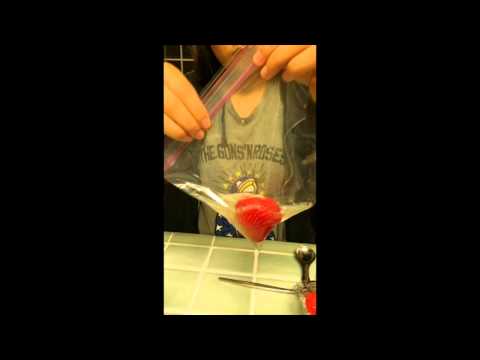 Extracting DNA from a Strawberry – Becca's Bio Blog