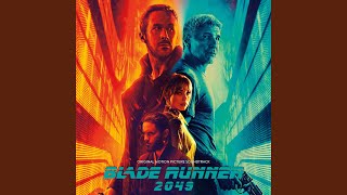 2049