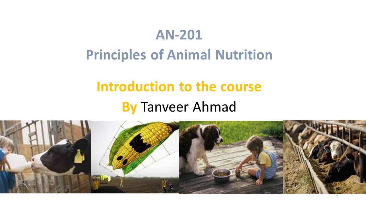 Video Lectures - FoodFeedInfo