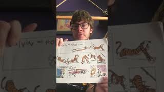 My Calvin and Hobbes Book Collection