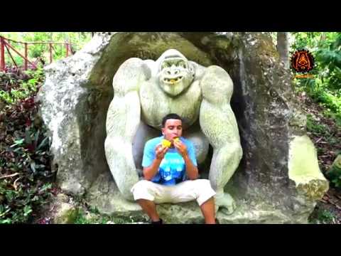 SelfiePlay Zoológico de piedras Guantánamo – DaRoDe. | lapresilladelcemi