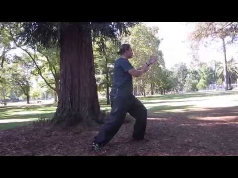 “Grasp the Sparrow’s Tail” Routine | Tai Chi Club at UC Davis