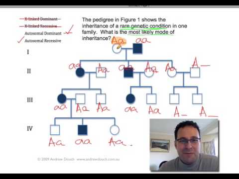 Pedigree Practice | AP Bearcat Biology