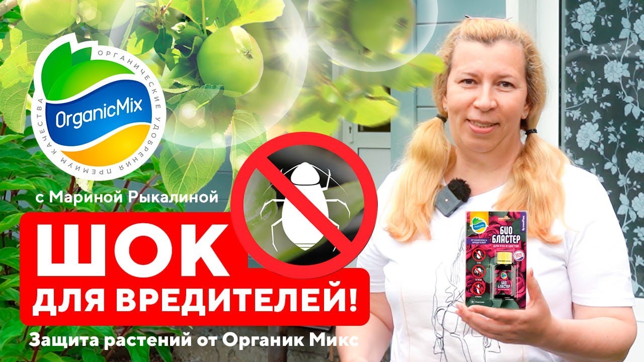 Органические препараты от вредителей растений – натуральные средства