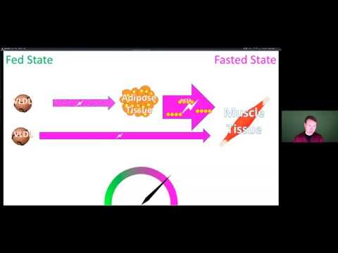 Lipid Energy Model – Cholesterol Code