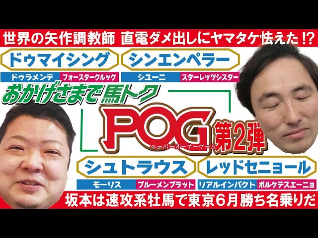 そろそろ来るでしょ（栗東） - UMATOKU | 馬トク