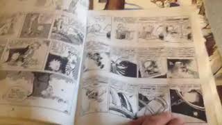 My Calvin and Hobbes collection and review