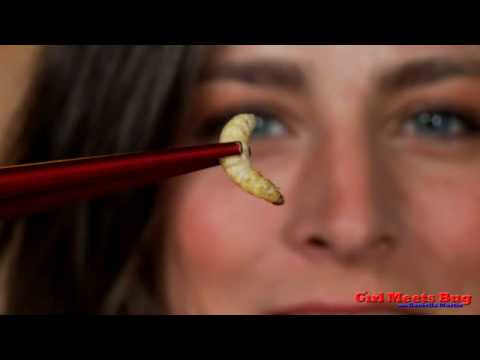 Video | Girl Meets Bug