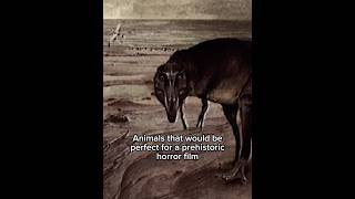 These animals should feature in a Jurassic Park horror film #dinosaur #horror #jurassicworld