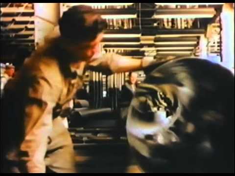 CNN: Cold War – #3/24 – Marshall Plan | The Inquiring Mind