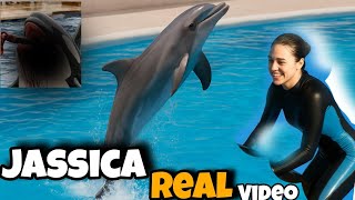 Jessica Radcliffe Orca Attack Real video || Jessica dolphin video real || Orca attack on jessica