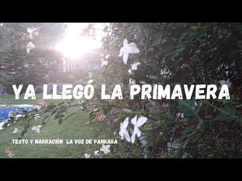 YA LLEGÓ LA PRIMAVERA | EL PARÉNTESIS DEL SER