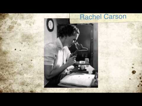 DOI honored Rachel Carson in Women’s HIstory Month | Millard Fillmore's ...