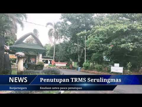 PENUTUPAN SEMENTARA TRMS SERULINGMAS – Tiara's blog