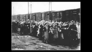 ECHS Irena Sendler Project