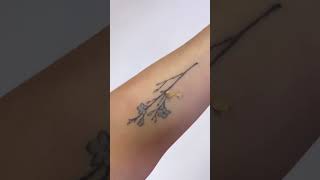 How to cover your Tattoo by our Dermacol makeup cover foundation