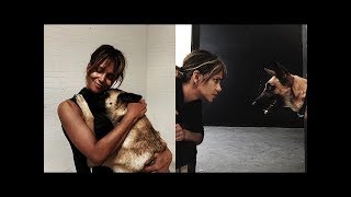 Halle Berry Training with The Dogs for John Wick Chapter 3 Parabellum