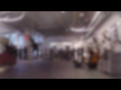 Flying on the Job: Shaina on Aerial Violin – ECLECTA QUARTET