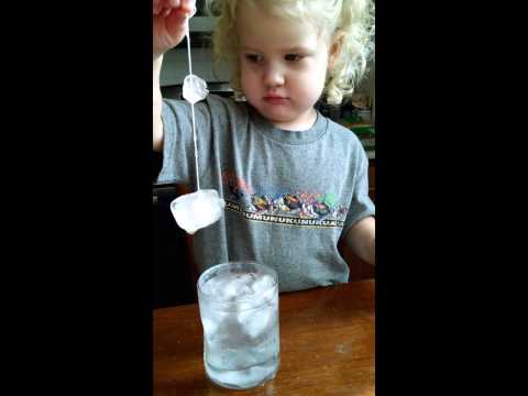 Why Does Salt Melt Ice? | The Science Kiddo